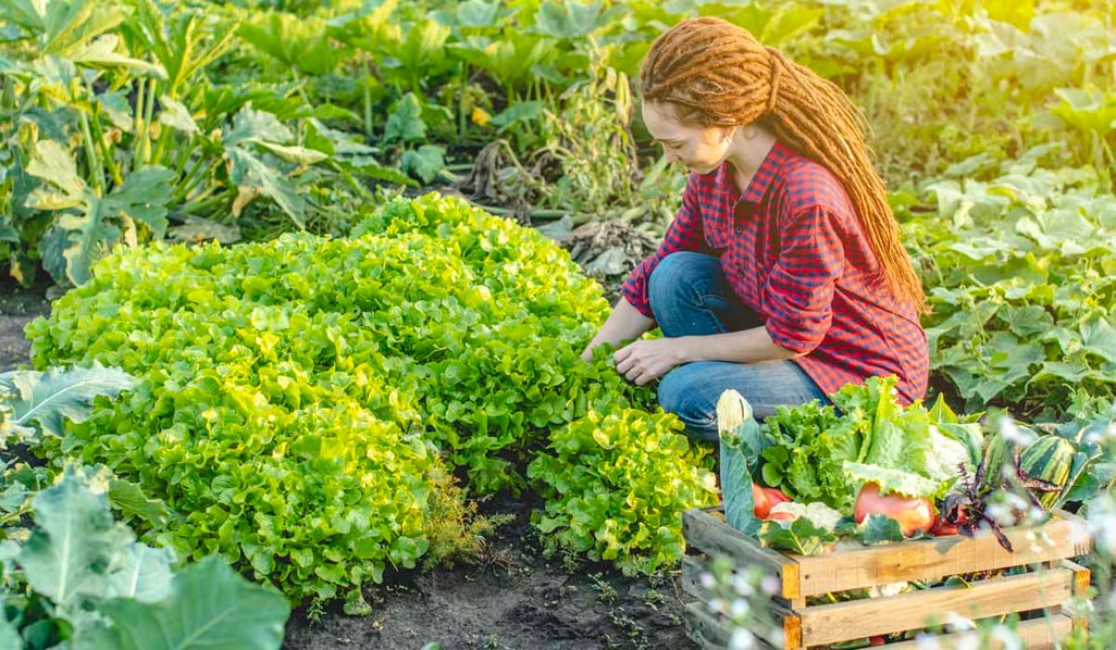 Tips To Plan Your Spring Garden