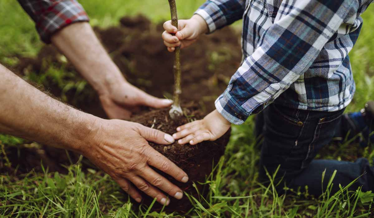 Gardener's Monthly Checklist For April