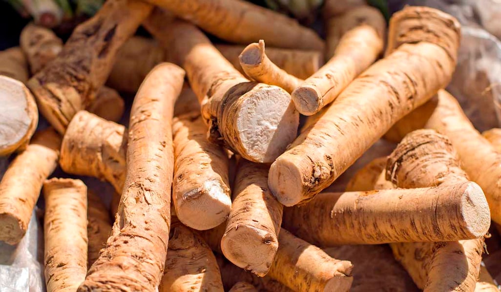 14 Cool Season Vegetables For Your Colorado Garden